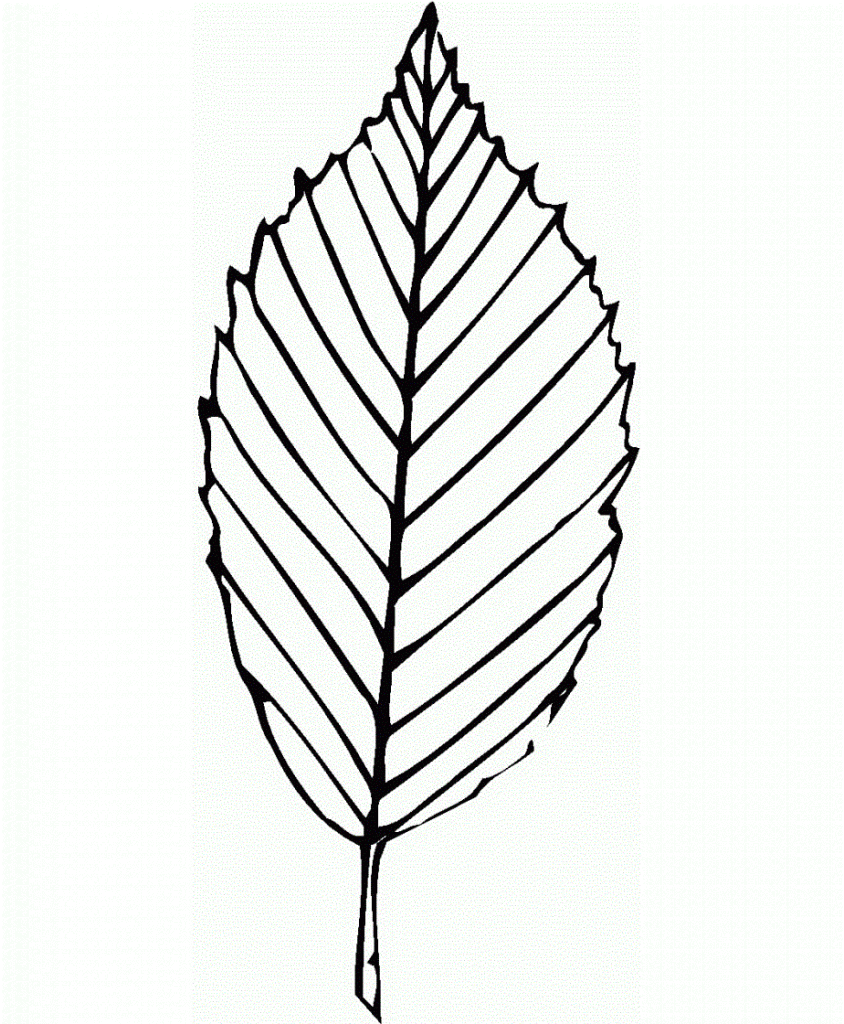 Free Printable Leaf Coloring Pages For Kids Free Printable Leaf Coloring Pages For Kids